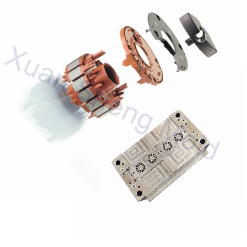 Motor rotor overmold insert molding